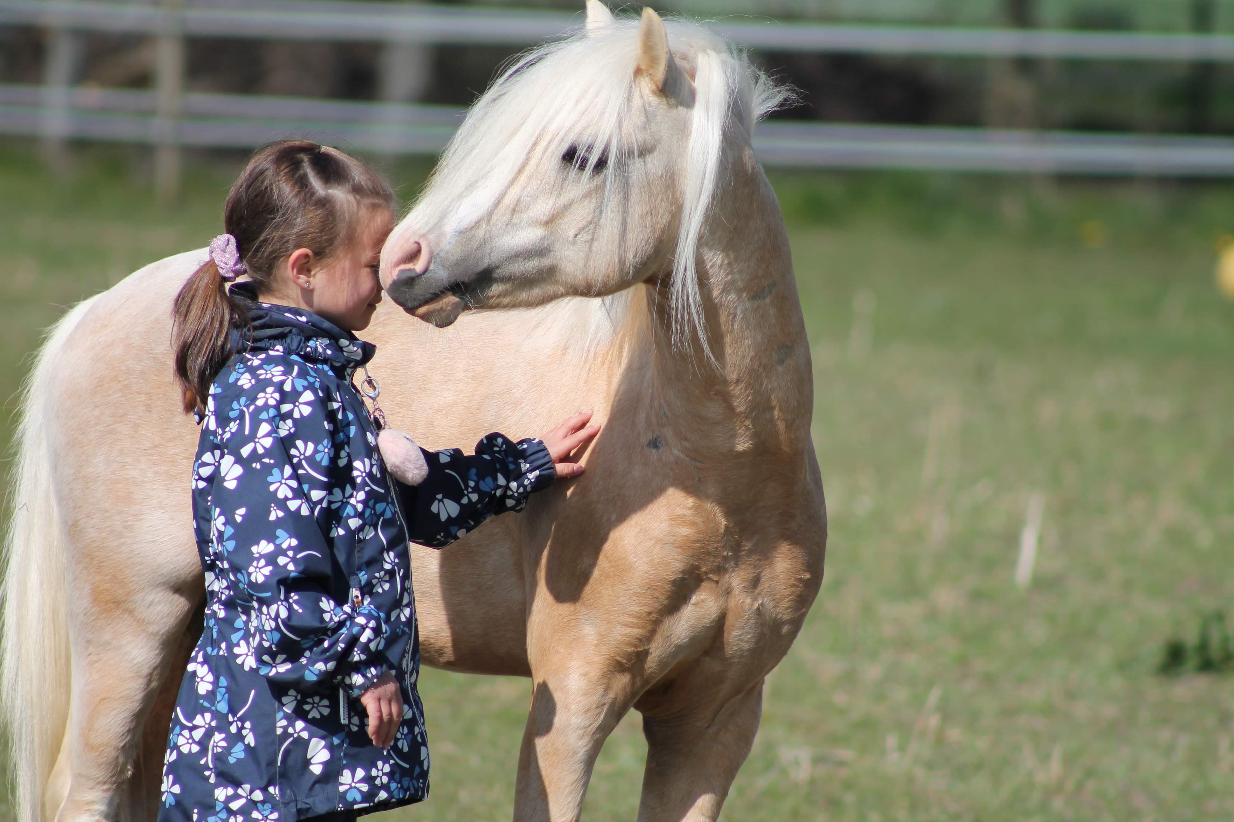 Stutteri Sejlstrup – ved Tami Hansen